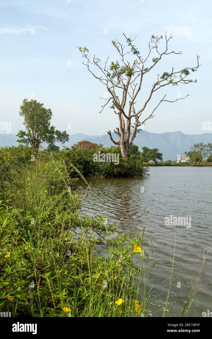 Moyar hi-res stock photography and images - Alamy