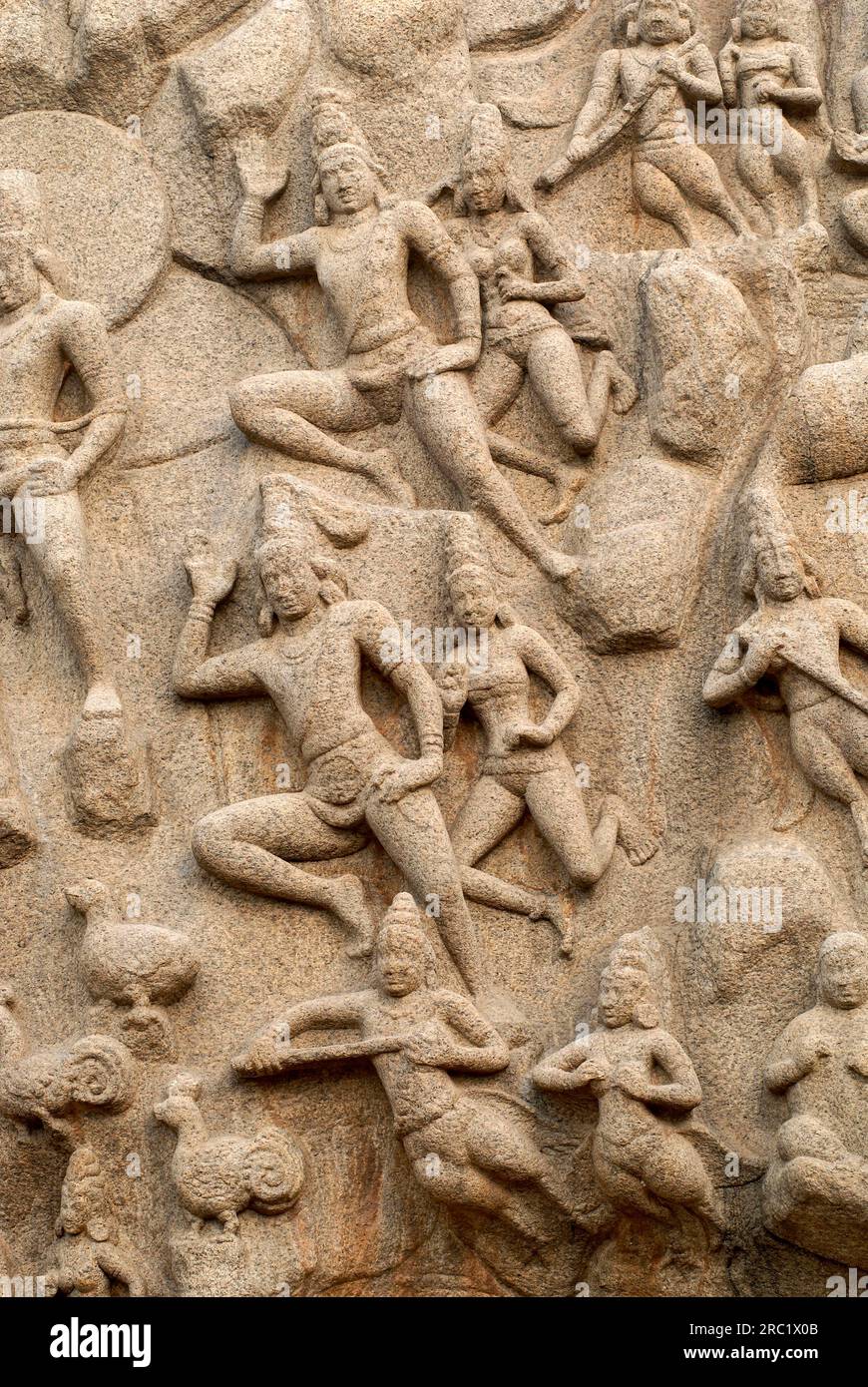 Bas Reliefs, God and goddesses carved on Arjunas penance Descent of the ...