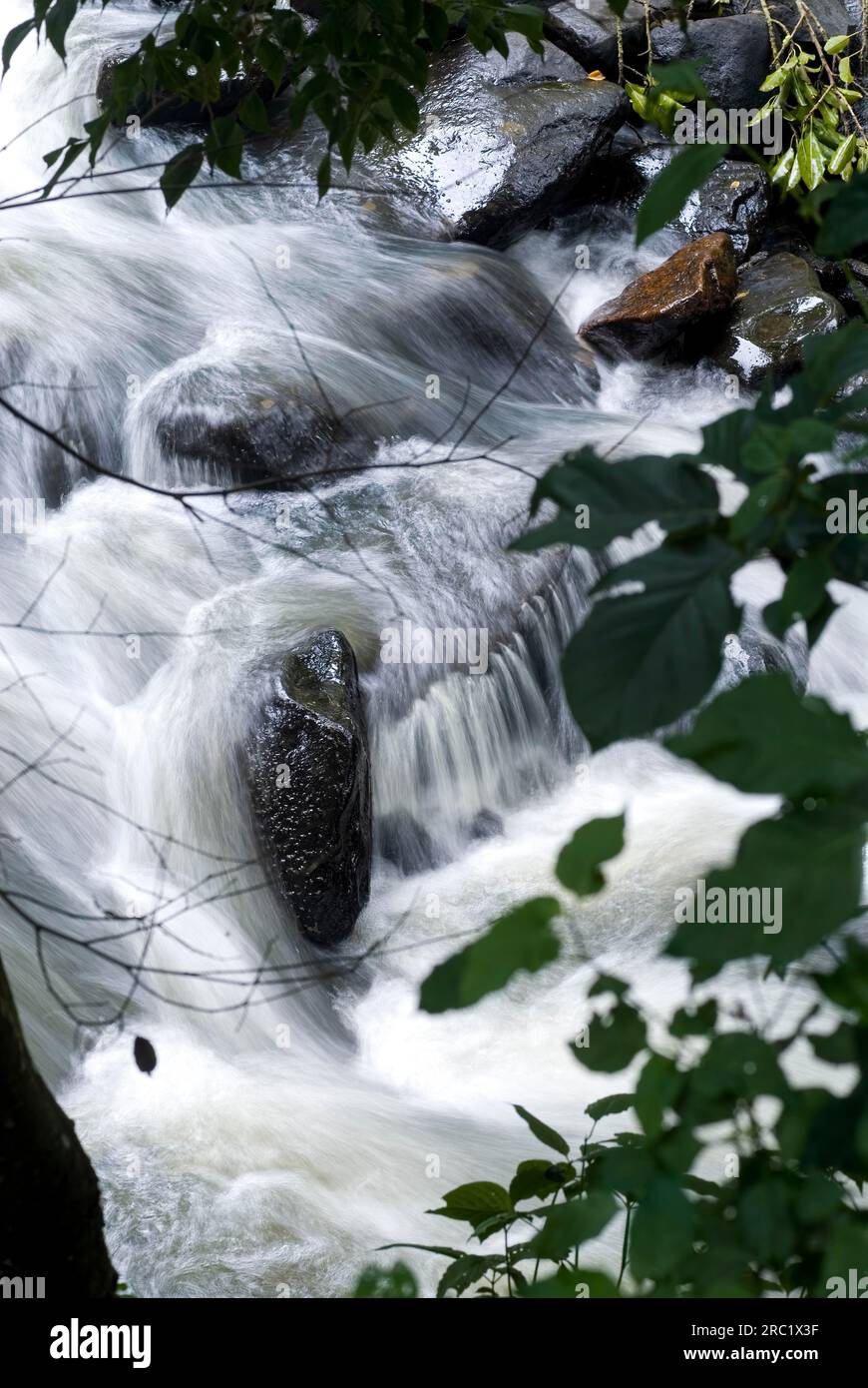 Moyar river falls at Singara near Masinagudi in Nilgiris, Ooty ...