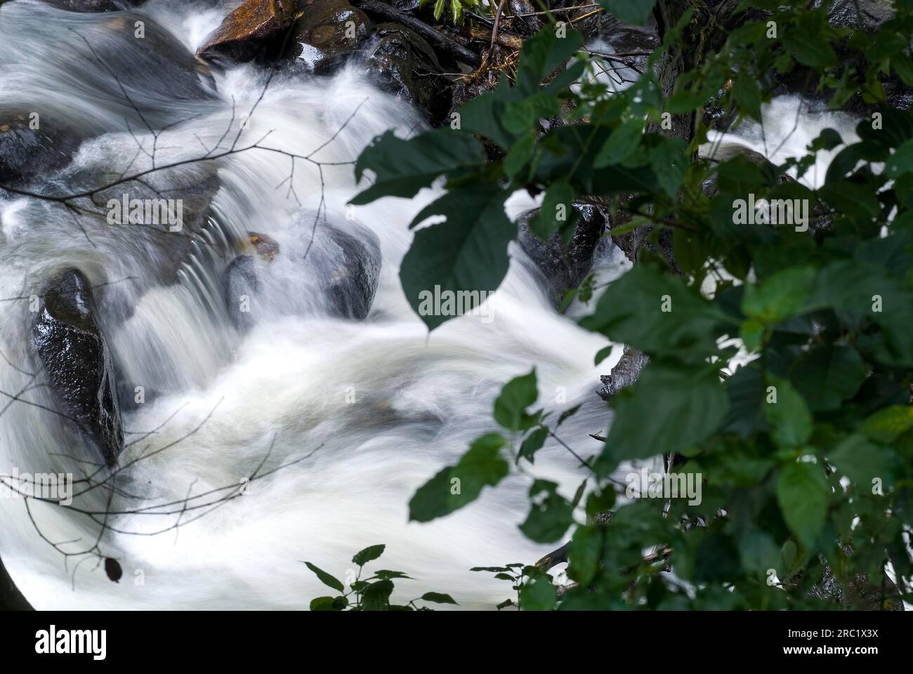 Moyar river falls at Singara near Masinagudi in Nilgiris, Ooty ...
