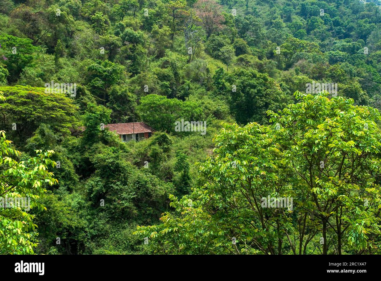 Electricity board workers quarters built in 1925 in the middle of the ...