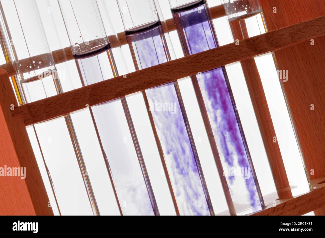 Rack, test tubes with purple substance, chemistry, test tube Stock ...