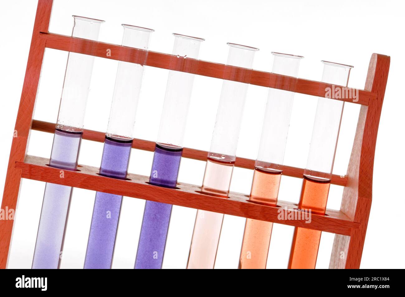 Rack, test tubes with purple and red substance, chemistry, test tube ...