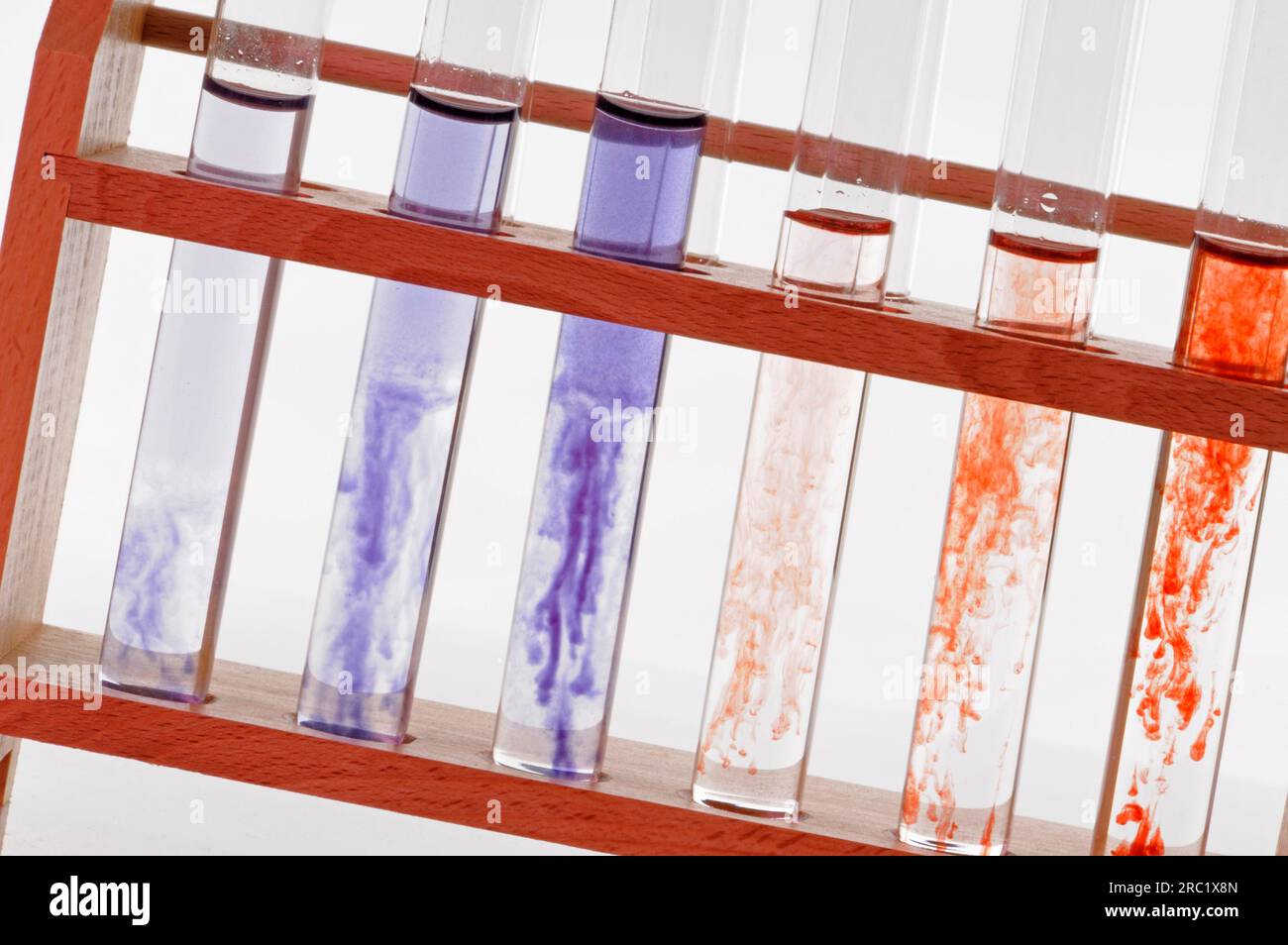 Rack, test tubes with purple and red substance, chemistry, test tube ...