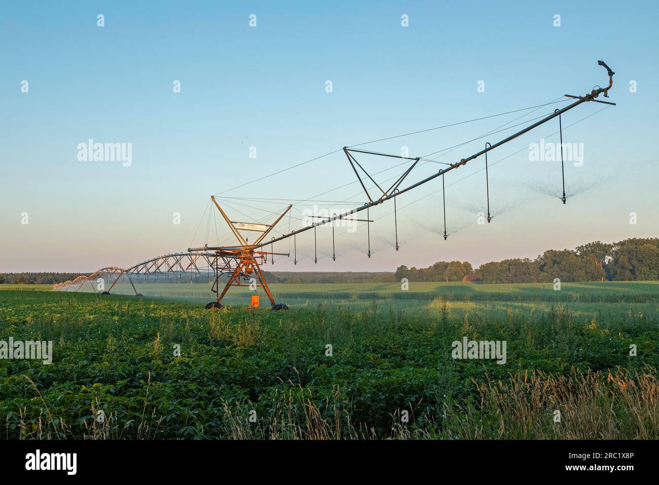 Field irrigation, irrigation system, field, potato field, Melbeck ...