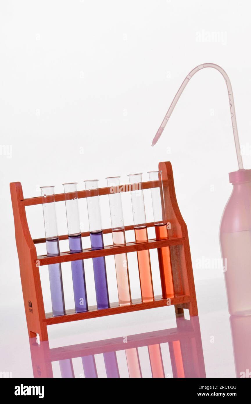 Rack, test tubes with purple and red substance, plastic bottle ...