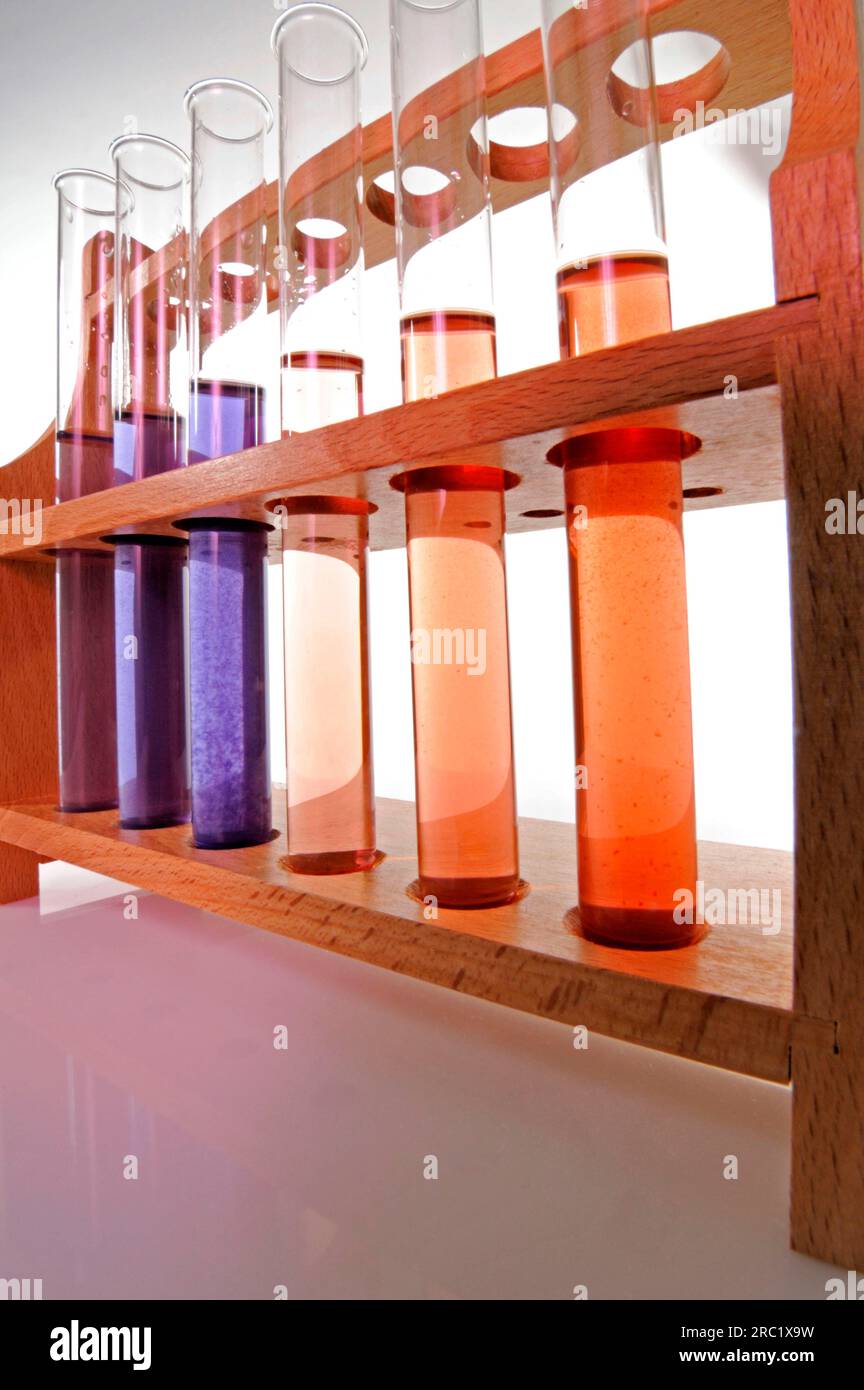 Rack, test tubes with purple and red substance, chemistry, test tube ...