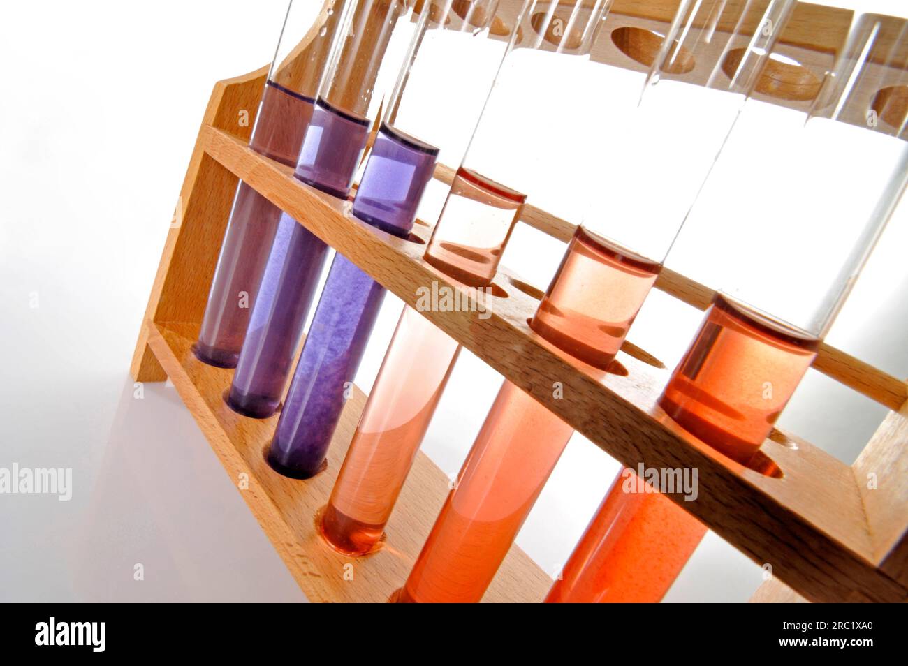 Rack, test tubes with purple and red substance, chemistry, test tube ...
