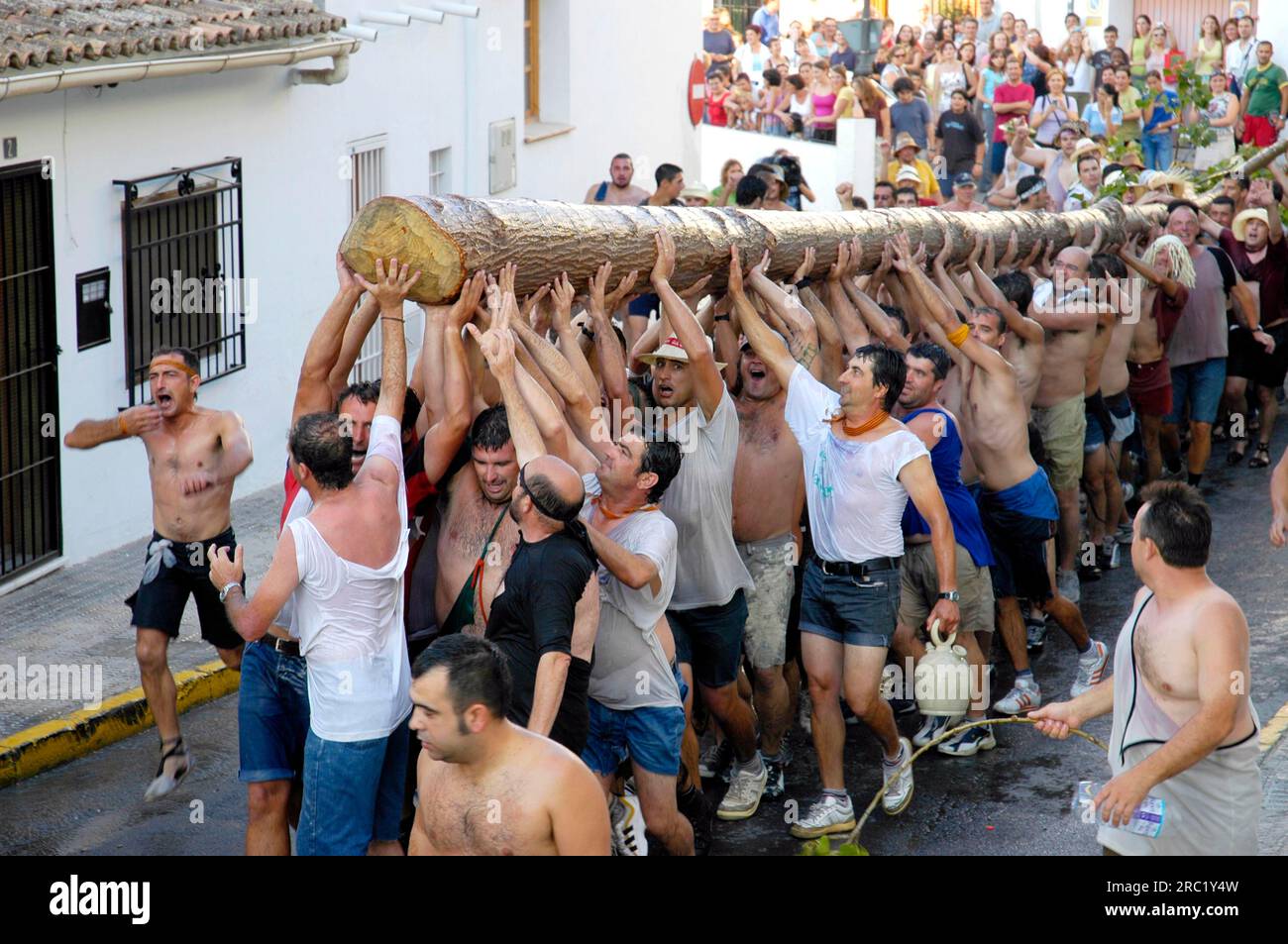 Men carrying tree trunk, folk festival, Altea, Costa Blanca, Spain ...