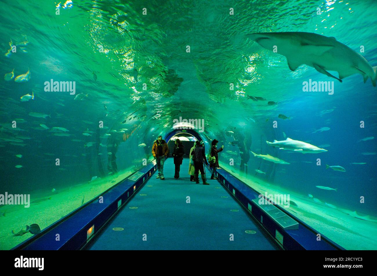 L'Oceanografic marine park-aquarium, architect Santiago Calatrava, Arts ...
