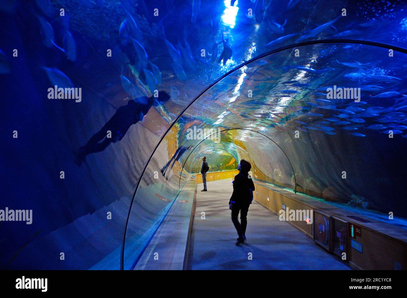 L'Oceanografic marine park-aquarium, architect Santiago Calatrava, Arts ...