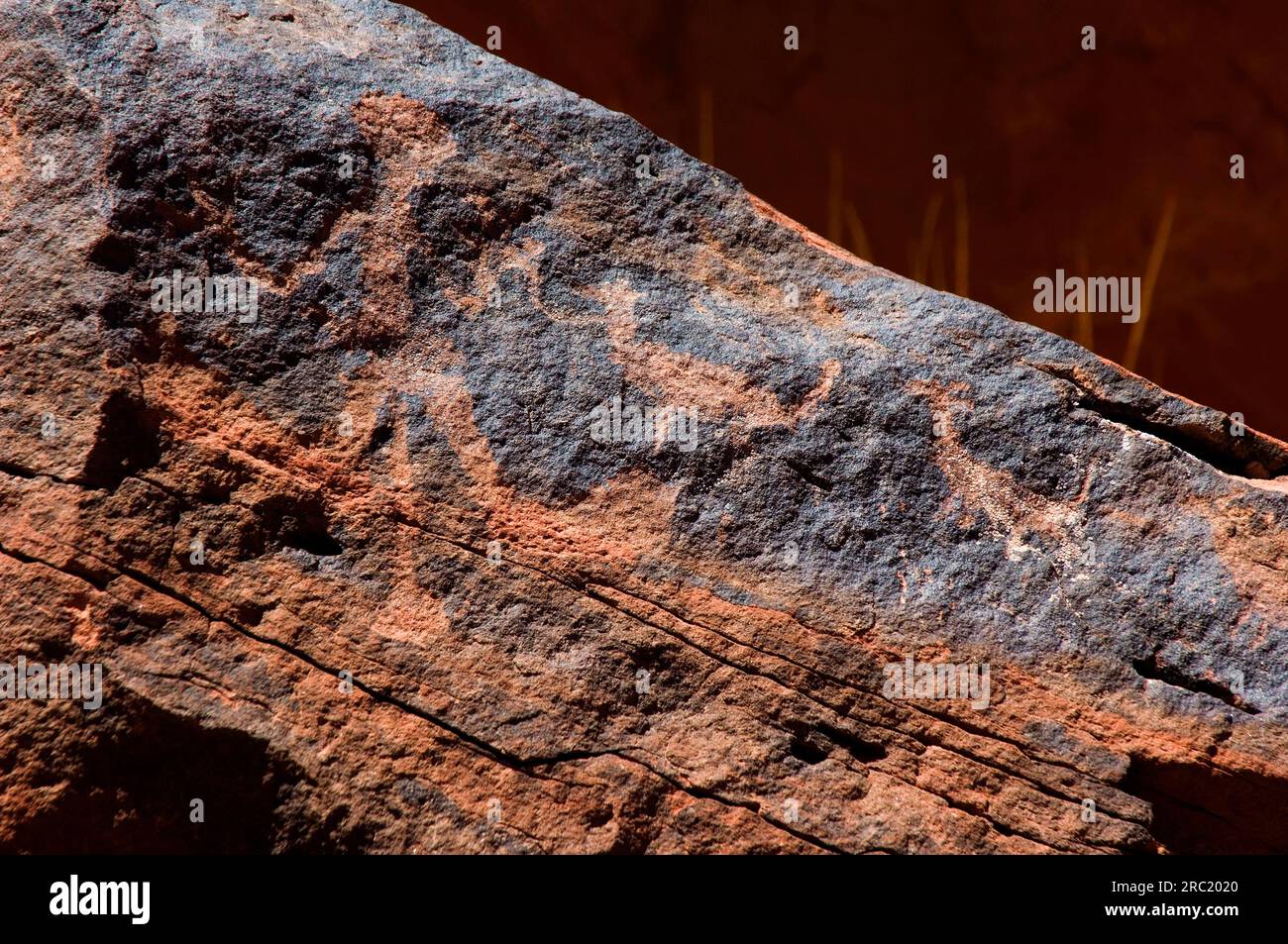 Rock drawing of guanacos, Talampaya National Park, La Rioja Province ...