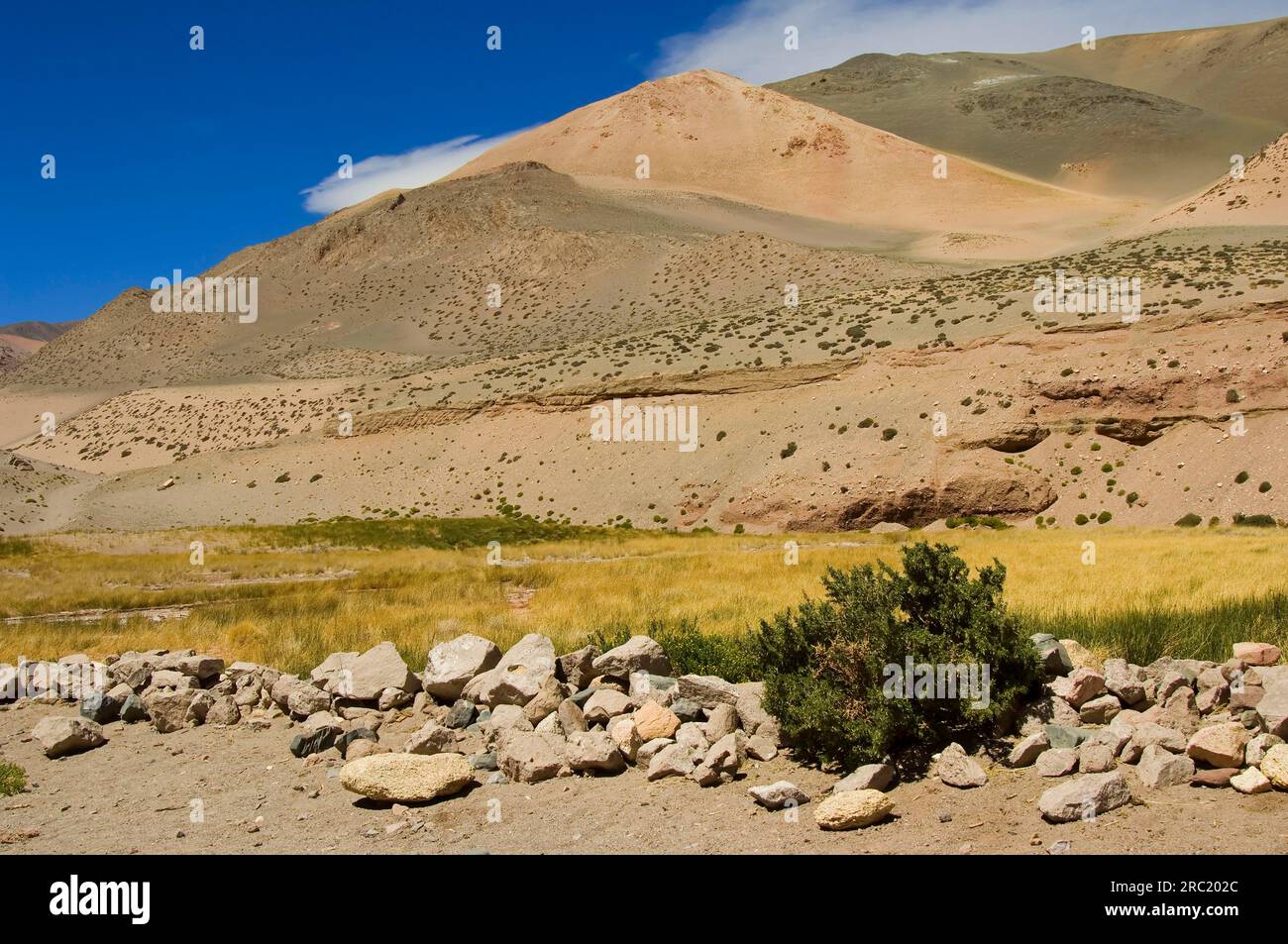 Laguna Brava, Las Vicunas National Reserve, High Andes, La Rioja ...
