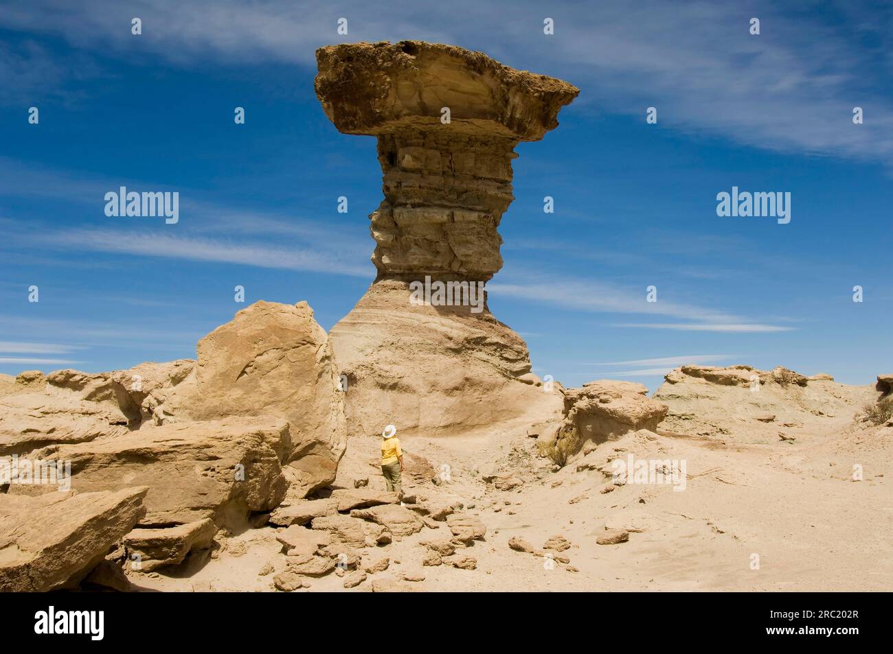 The mushroom, Valle de Luna, El Hongo, stone formation, Ischigualasto ...