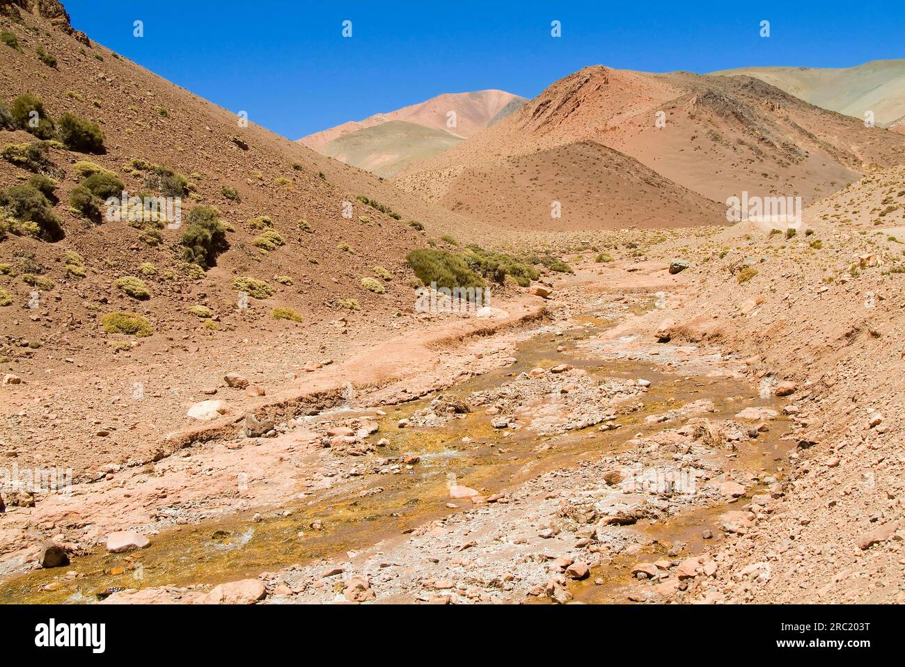 Laguna Brava, Las Vicunas National Reserve, High Andes, La Rioja ...