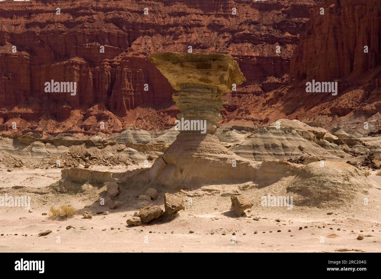 The mushroom, Valle de Luna, El Hongo, stone formation, Ischigualasto ...