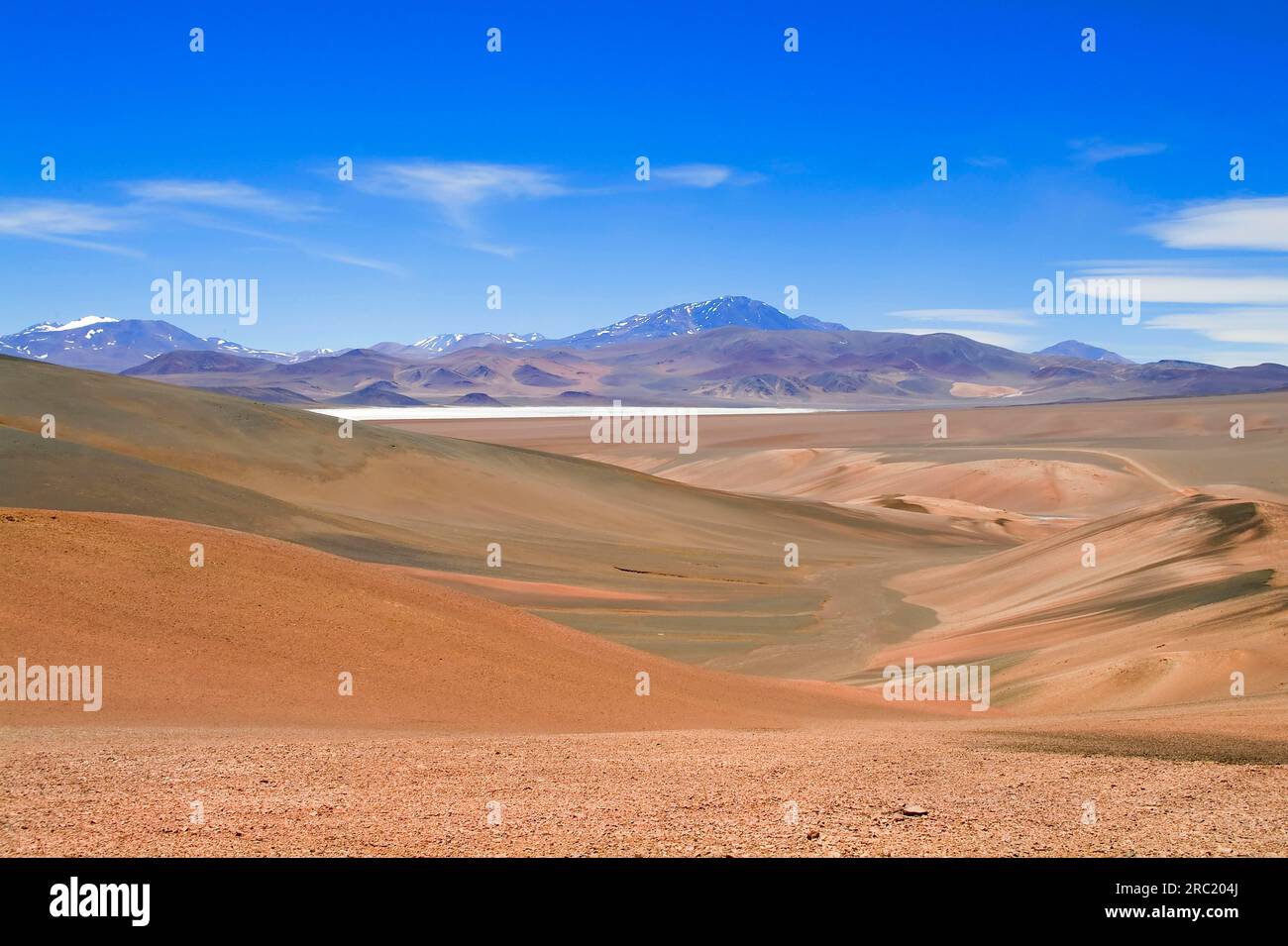 Laguna Brava, Las Vicunas National Reserve, High Andes, La Rioja ...