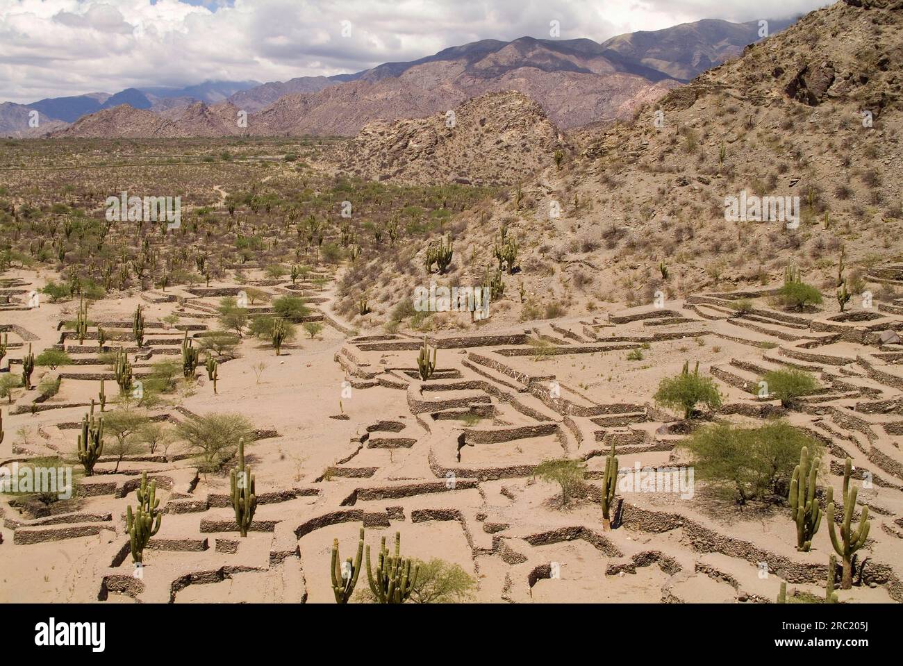 Inca ruins, archaeological site of Quilmes, Calchaqui Valley, Argentina ...