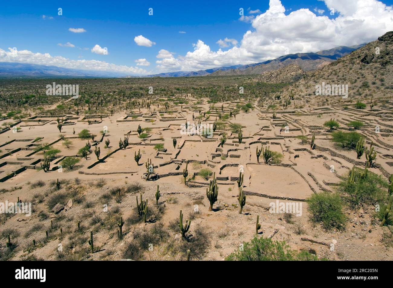 Inca ruins, archaeological site of Quilmes, Calchaqui Valley, Argentina ...
