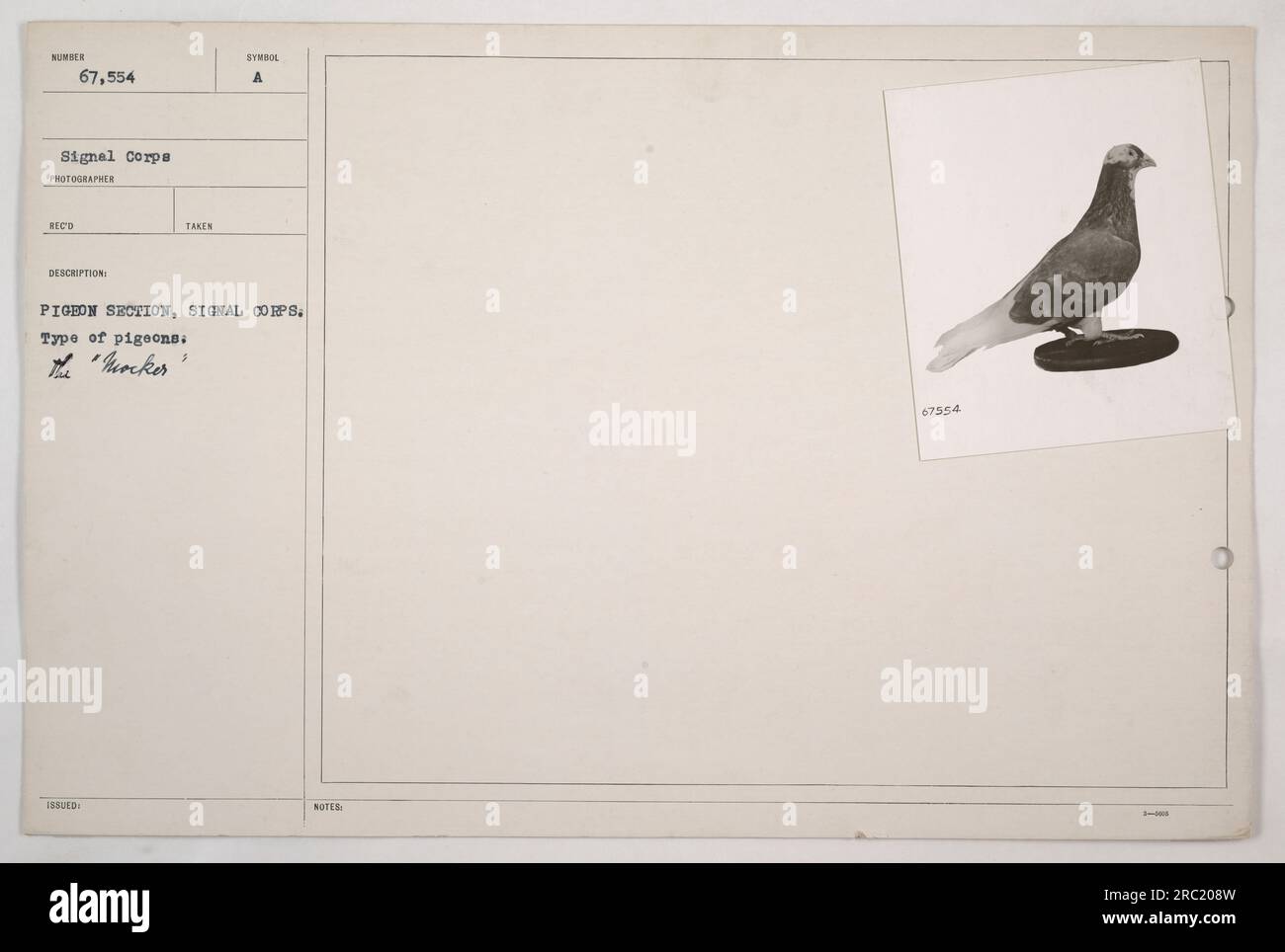 Pigeon Section in the Signal Corps, depicting a pigeon known as the "Mocker." The image ...