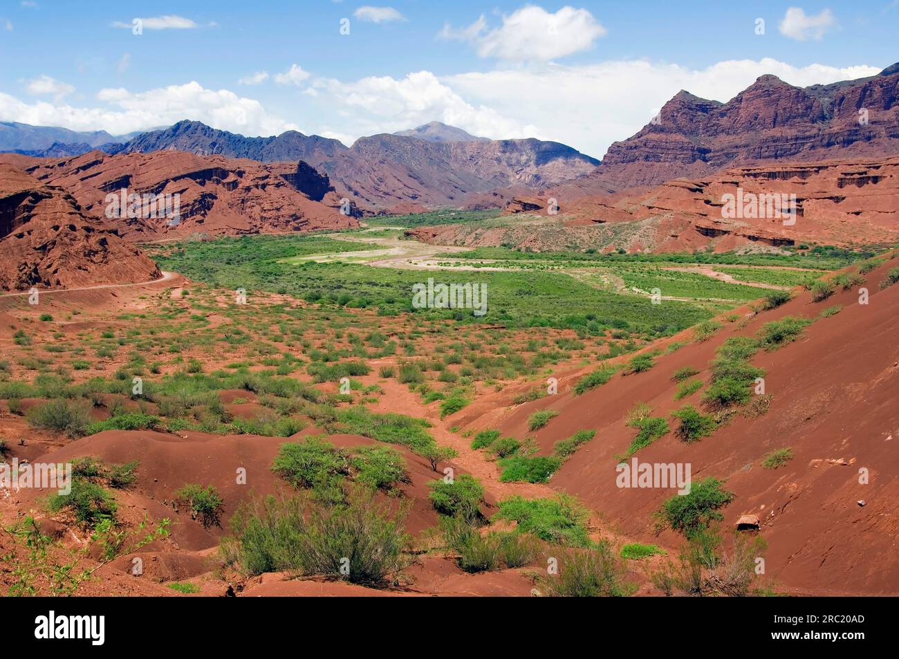 Calchaquí valley and argentina hi-res stock photography and images - Alamy