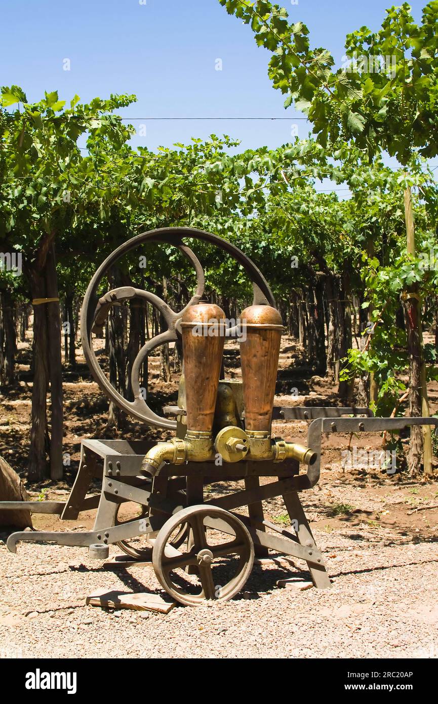 La rural wine cellar hi-res stock photography and images - Alamy