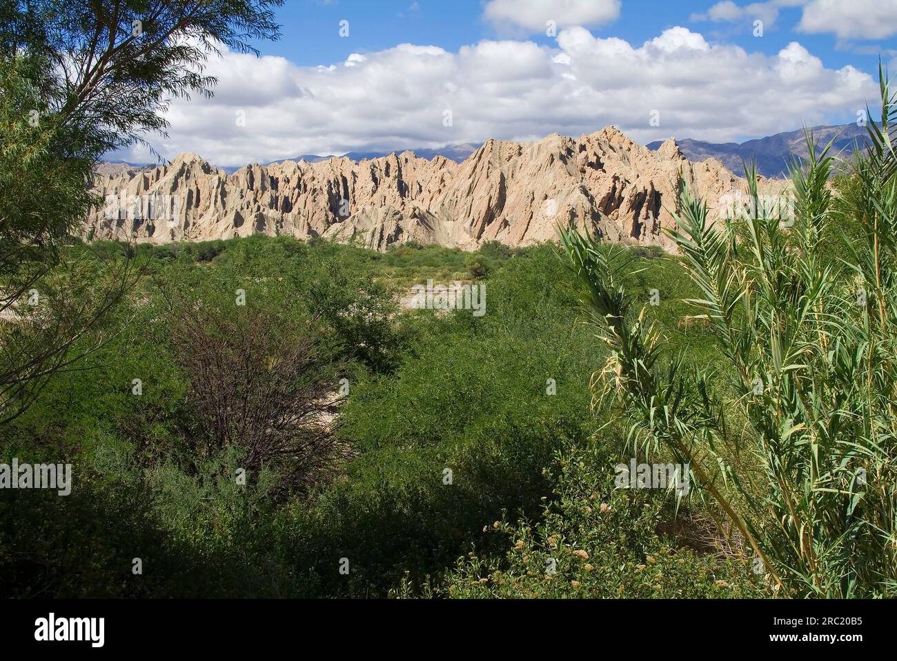Calchaquí valley and argentina hi-res stock photography and images - Alamy