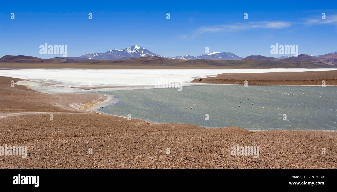 Laguna Brava, Las Vicunas National Reserve, High Andes, La Rioja ...