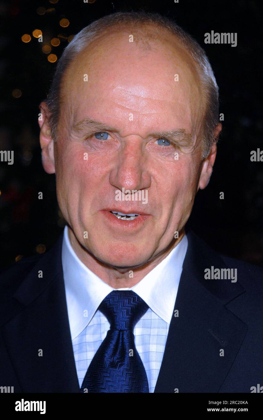 BEVERLY HILLS, CA - NOVEMBER 29: Alan Dale attends the 8th Annual ...