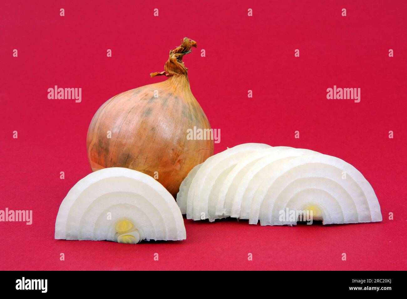 Common onions (Allium cepa Stock Photo - Alamy