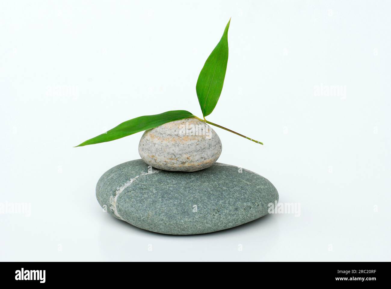 Stacked stones with bamboo leaf (Phyllostachys bambusoides), stack ...