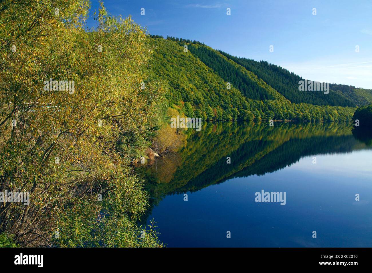 Kermeter, Upper Lake, Rurberg, Eifel National Park, North Rhine ...