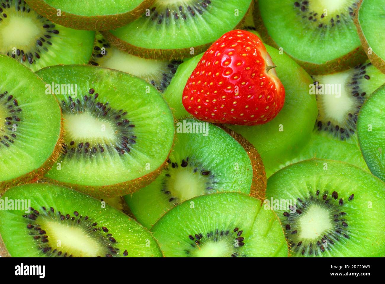 Fragaria chinensis hi-res stock photography and images - Alamy