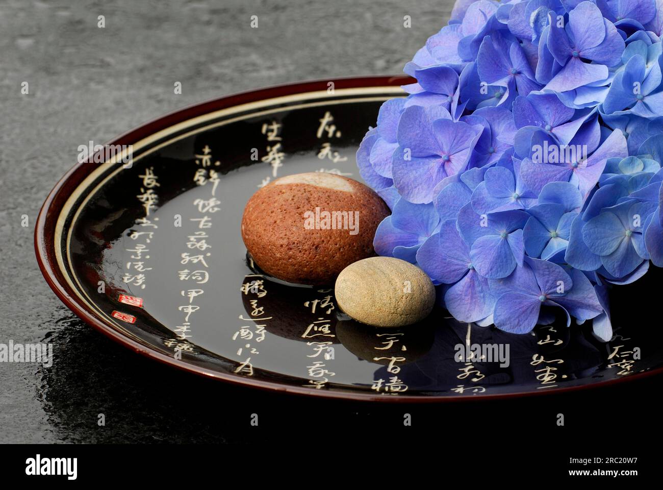 Hydrangea and stones, in shell, Chinese characters (Hydrangea ...