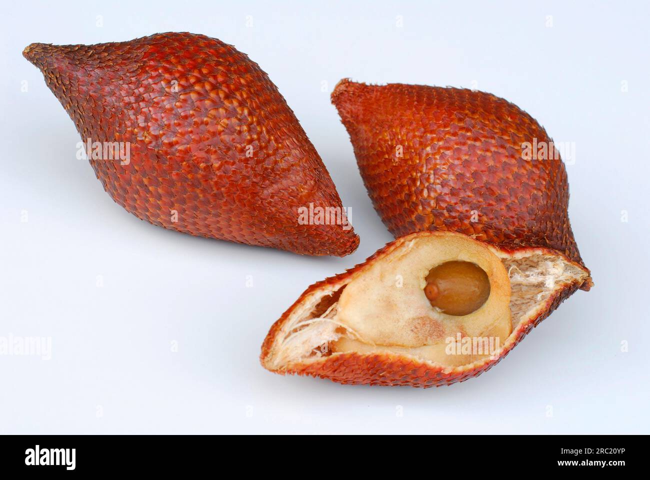 Salak palm tree hi-res stock photography and images - Alamy