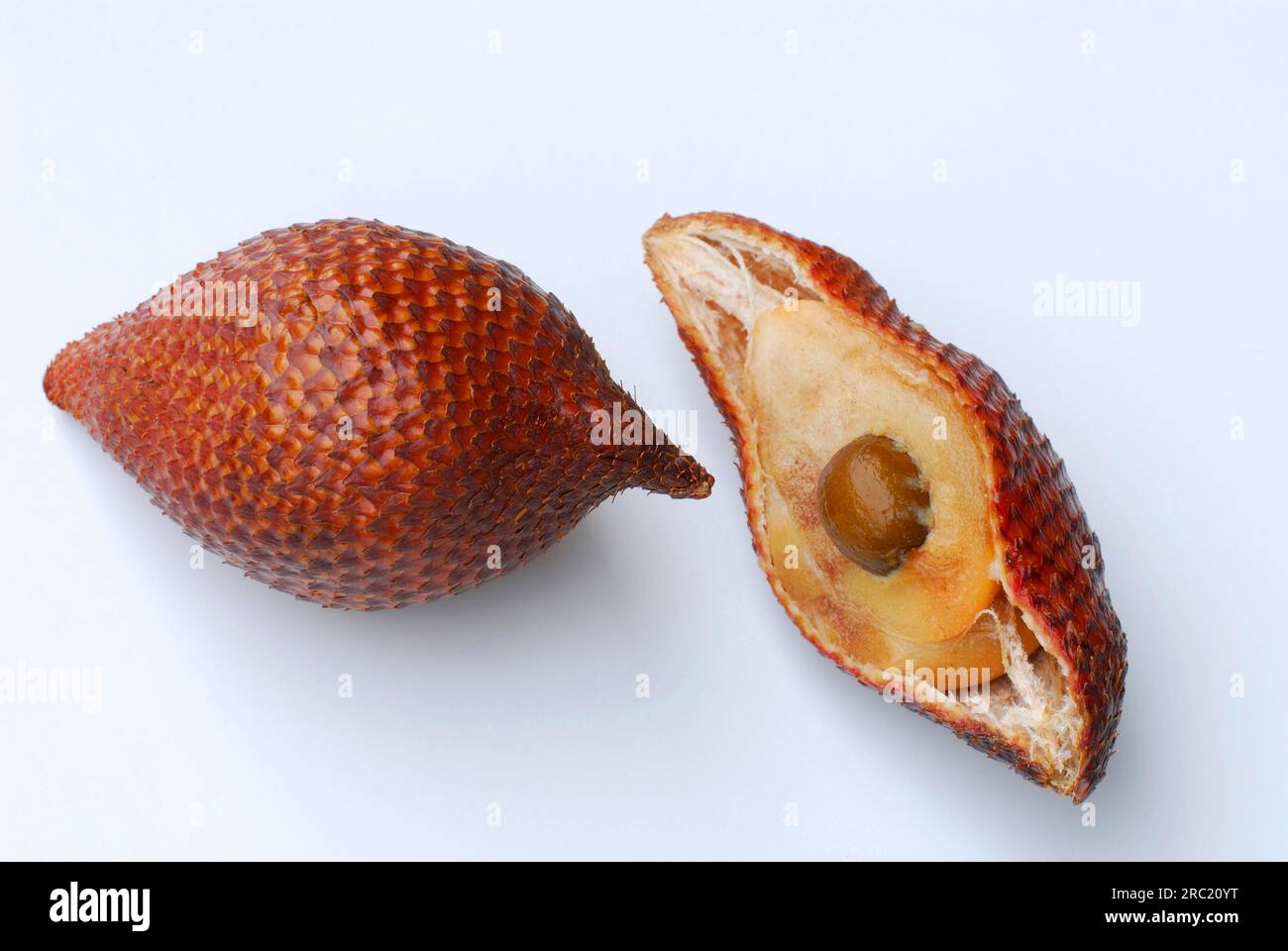 Salak palm tree hi-res stock photography and images - Alamy