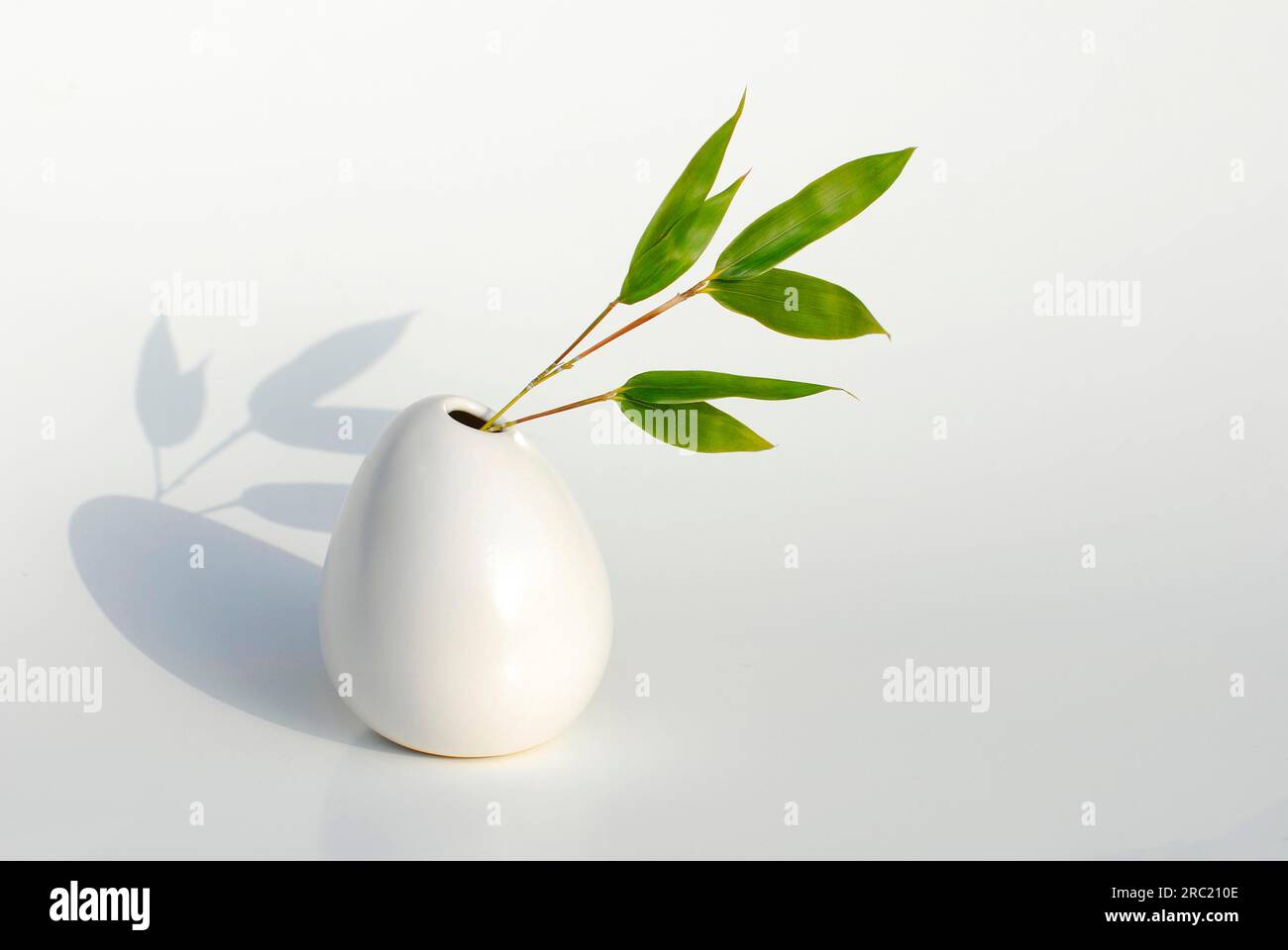 Bamboo in vase, shade Stock Photo - Alamy