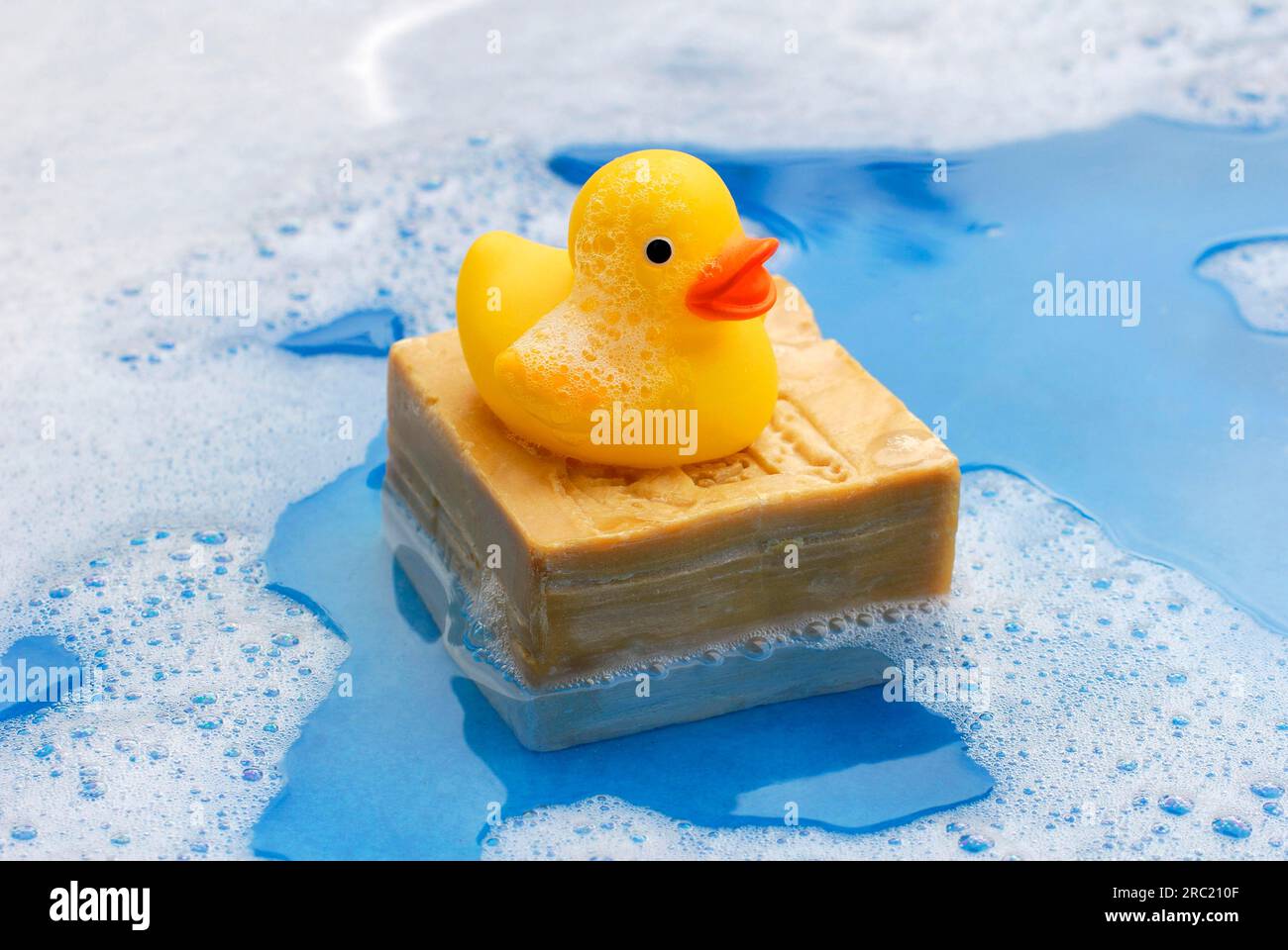 Rubber duck on olive soap, olive soap, rubber duck, toy duck, plastic ...