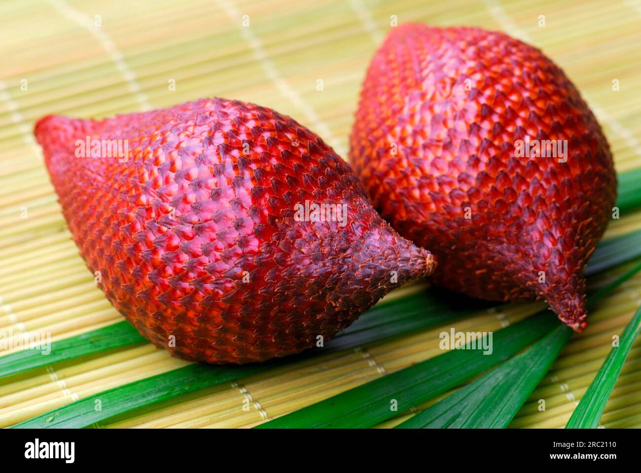Salak (Salacca edulis Stock Photo - Alamy