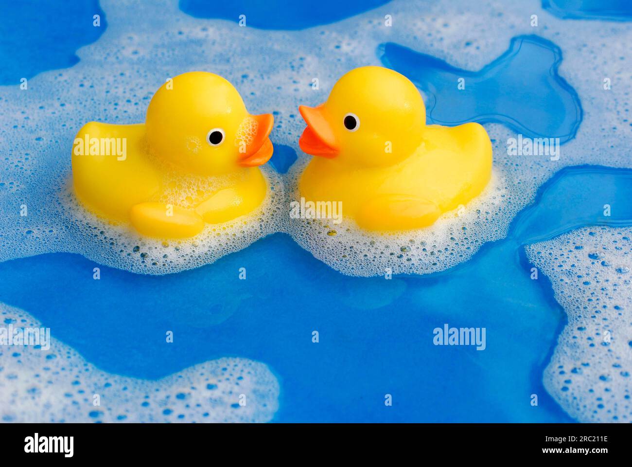 Rubber duck, rubber duck, toy duck, plastic duck, toys, rubber duck ...