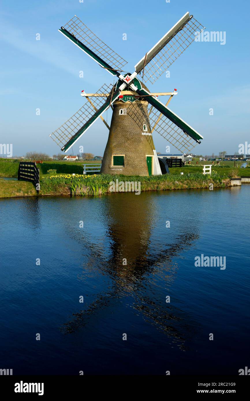 Windmill, Holland, Netherland, Lisse, Polder Mill Stock Photo - Alamy