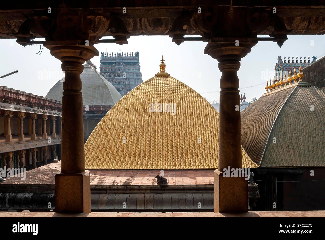 Golden tiled, Chit Ambalam of Thillai Nataraja Temple in Chidambaram ...