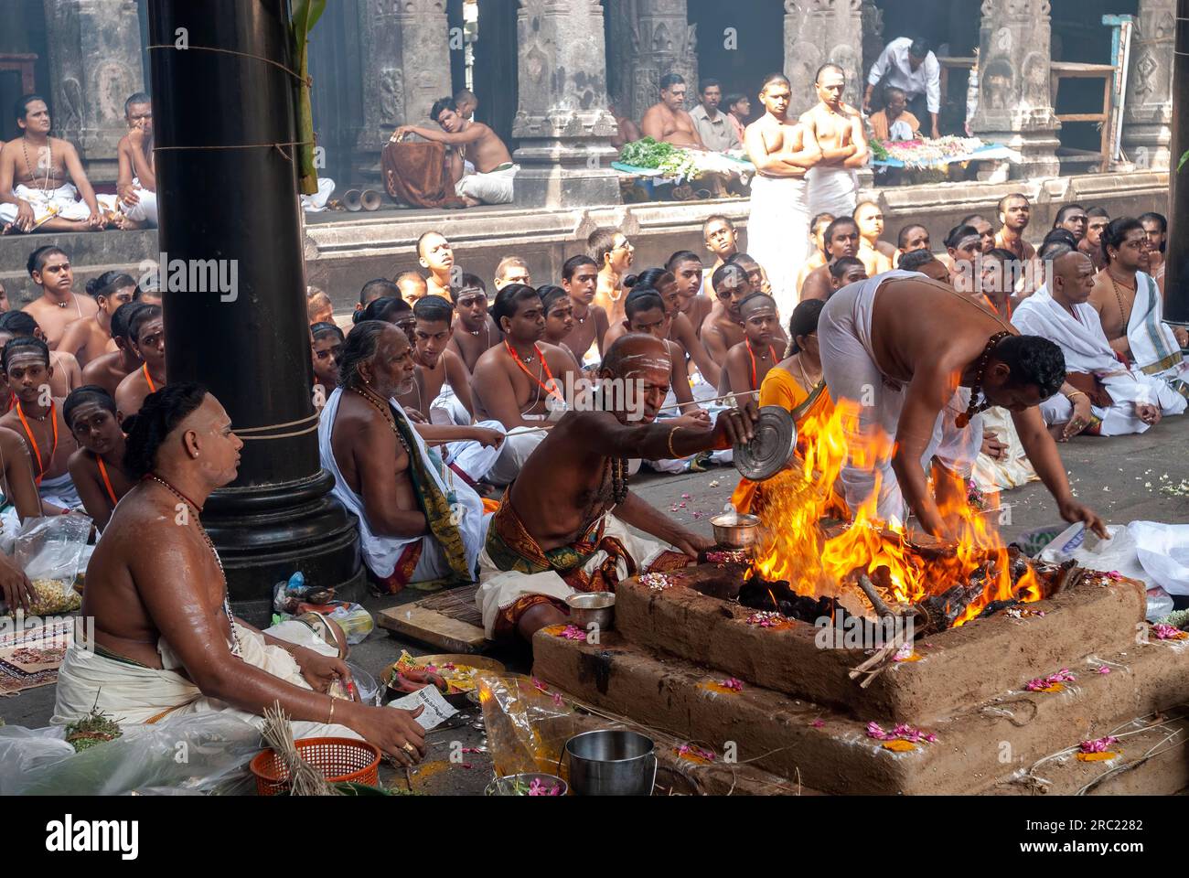 Maha Rudra Homam yagam performed in Thillai Nataraja Temple ...