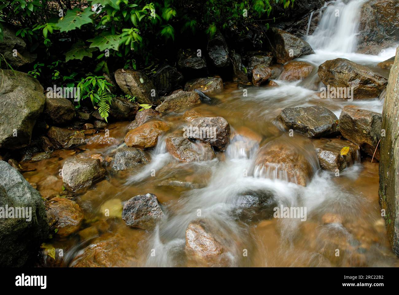 Indian coonoor hi-res stock photography and images - Alamy