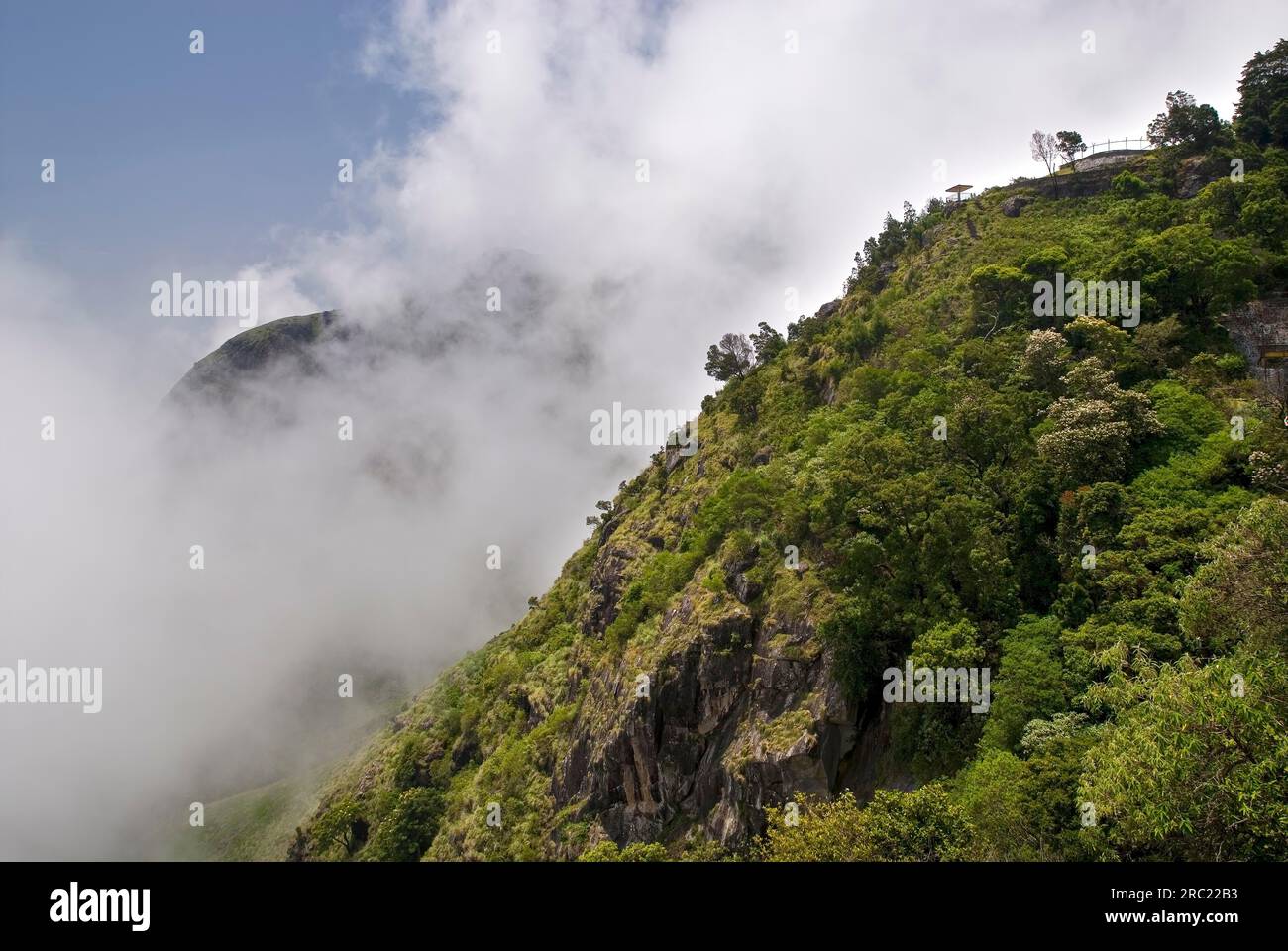 Nilgiris hill hi-res stock photography and images - Alamy