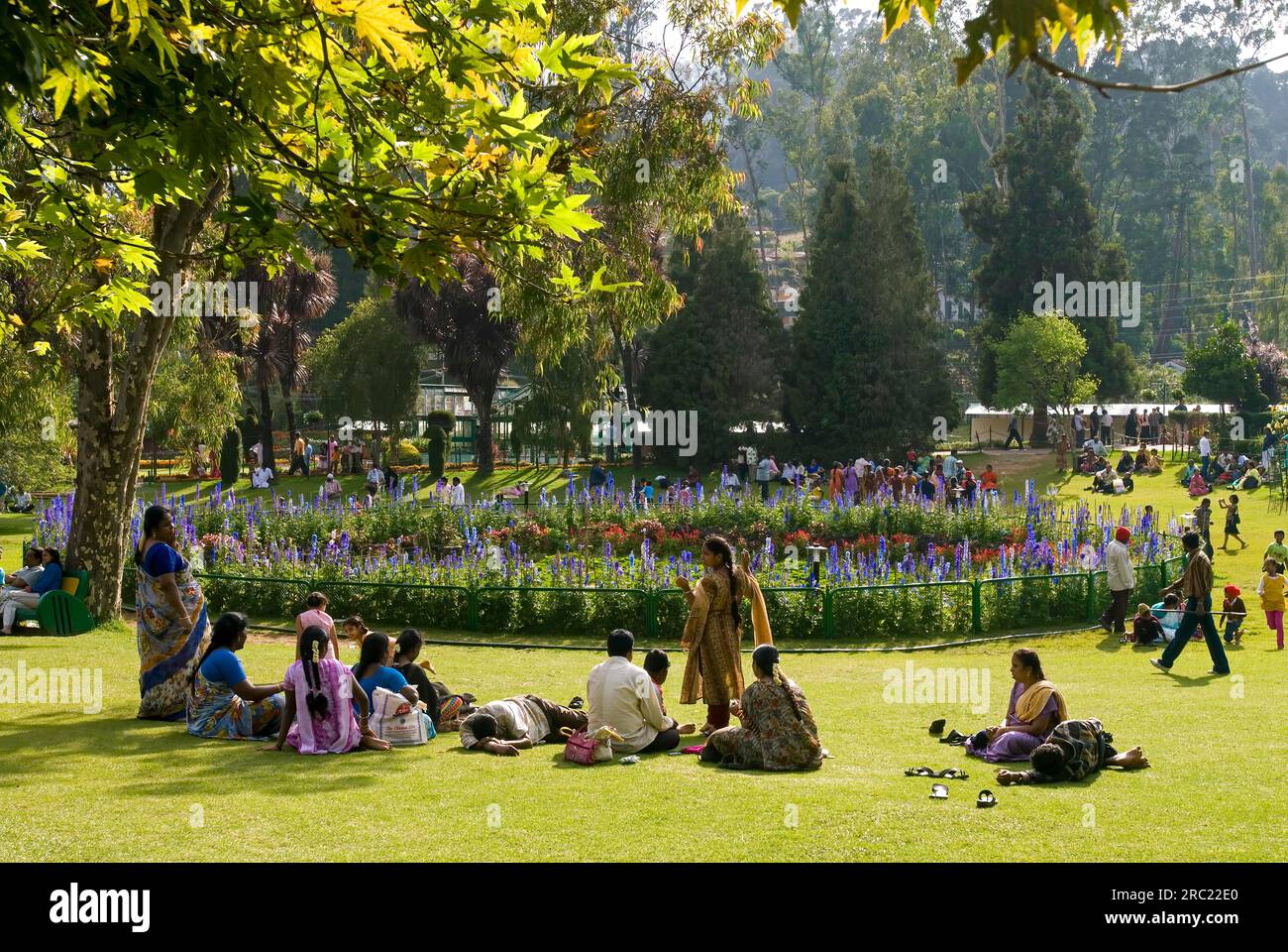 The Government Botanical garden (1847) laid by the Marquis of Tweeddale ...