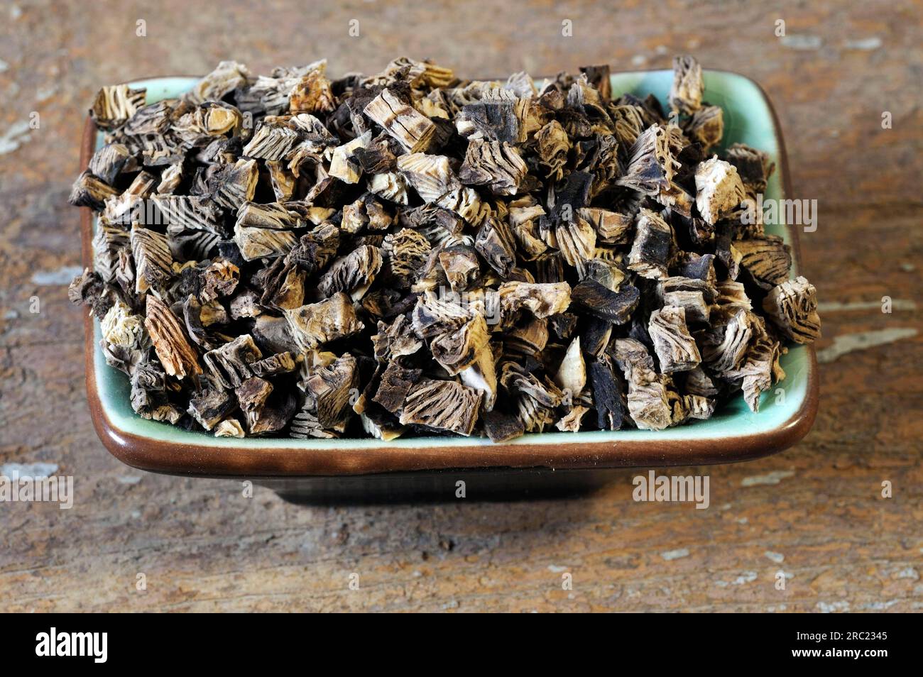 Silver primrose rhizome (Cimicifugae rhizoma), Sheng Ma Stock Photo - Alamy