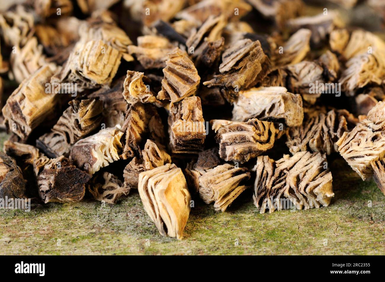 Silver primrose rhizome (Cimicifugae rhizoma), Sheng Ma Stock Photo - Alamy