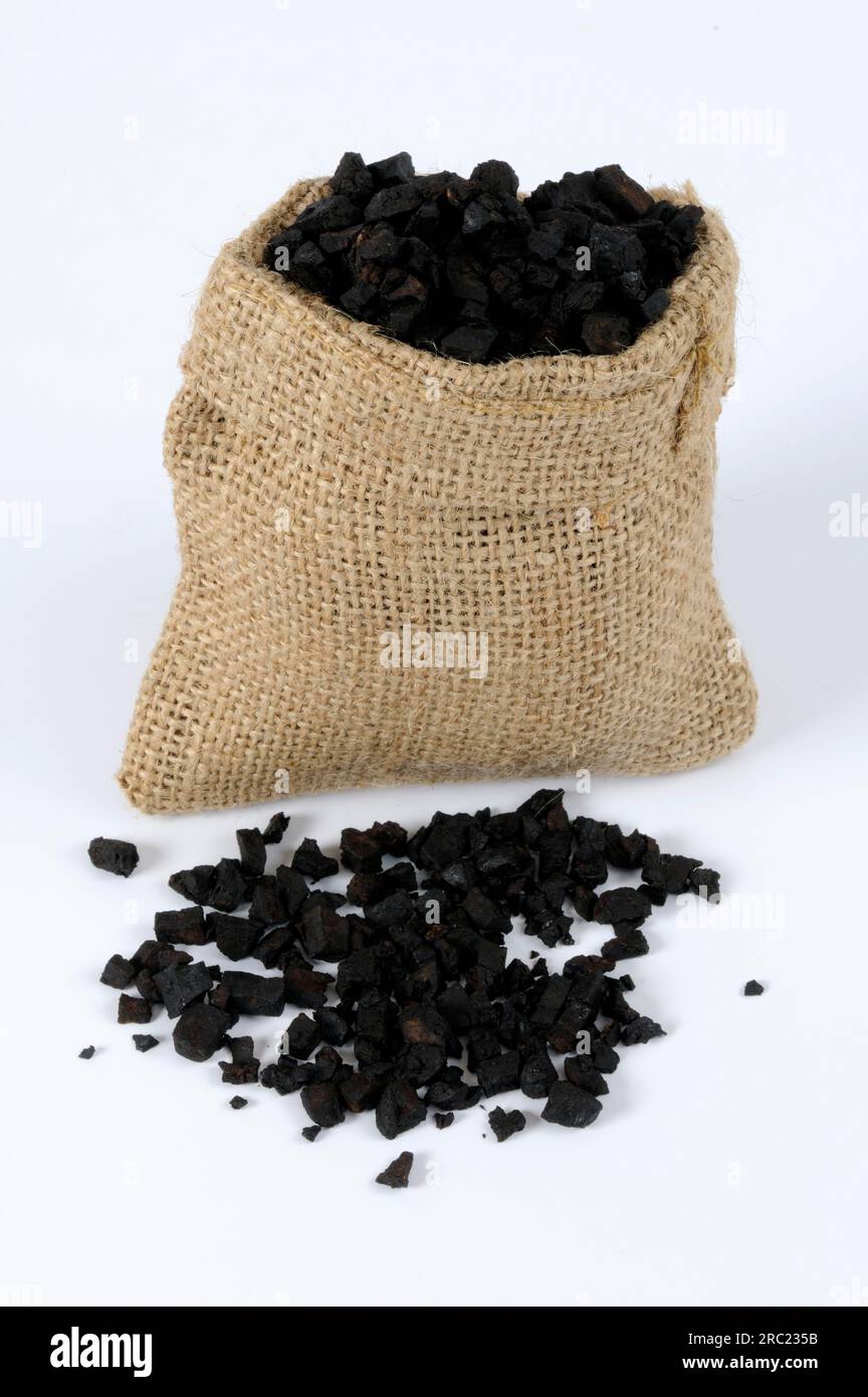 Rehmannia root (Rehmanniae Radix), Di Huang, clipping, object Stock ...