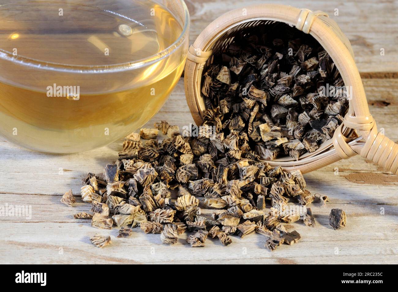 Cup of silver candle rhizome tea (Cimicifugae Rhizoma), Sheng Ma ...